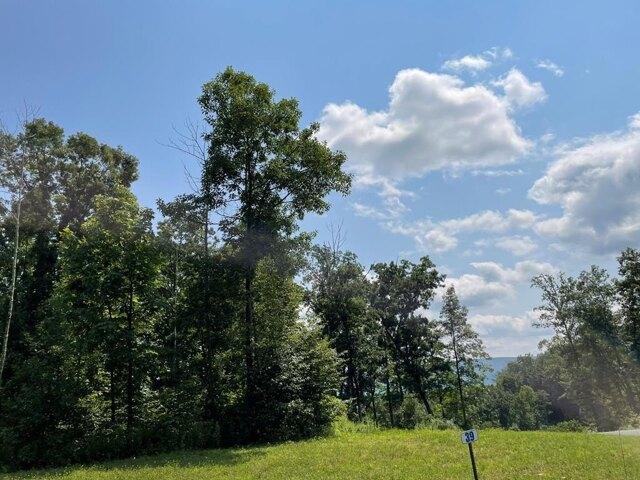 Hemlock Hills Rd Lot,towanda, Plot For Sale