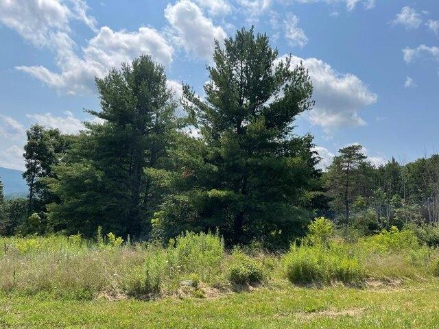 Hemlock Hills Rd Lot,towanda, Plot For Sale