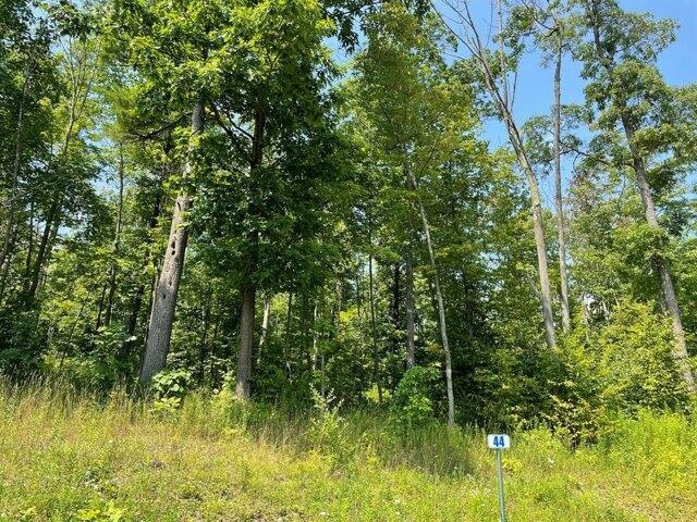Hemlock Hills Rd Lot,towanda, Plot For Sale
