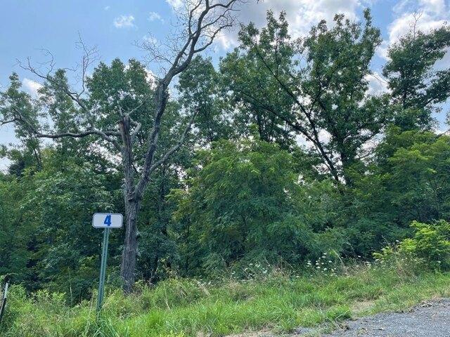 Hemlock Hills Rd Lot,towanda, Plot For Sale