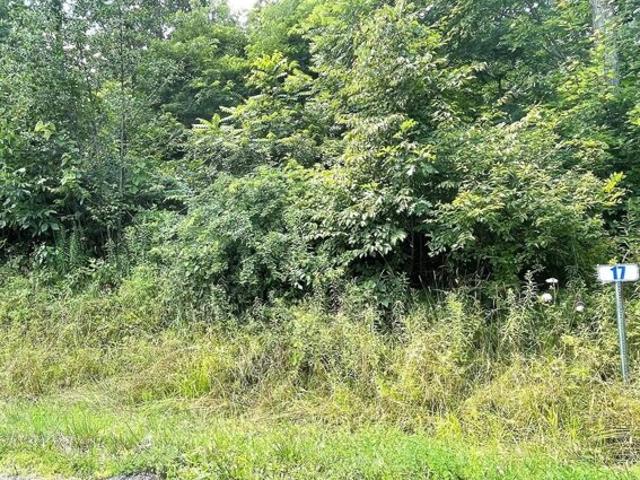 Hemlock Hills Rd Lot A, Towanda, Plot For Sale