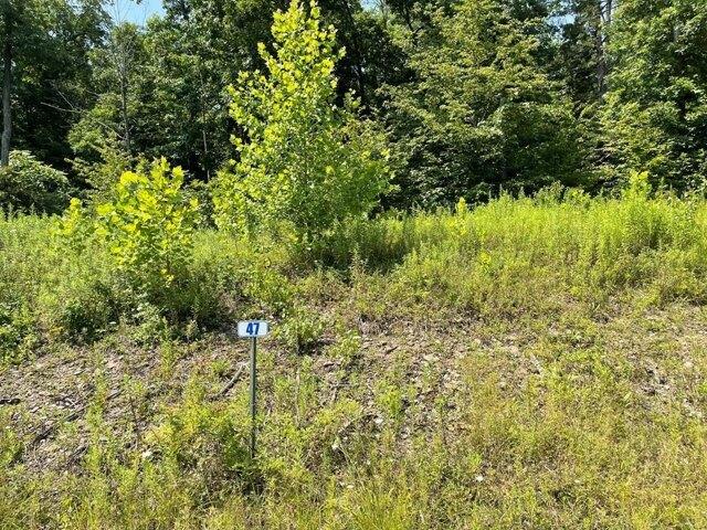 Hemlock Hills Rd Lot A, Towanda, Plot For Sale