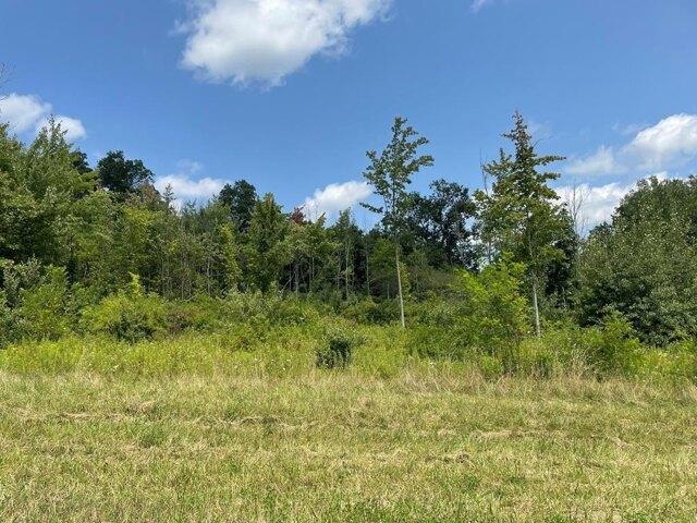 Hemlock Hills Rd Lot A, Towanda, Plot For Sale