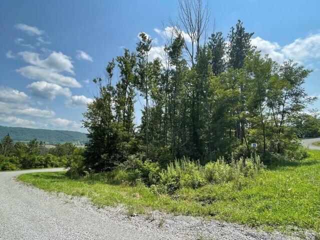 Hemlock Hills Rd Lot A, Towanda, Plot For Sale