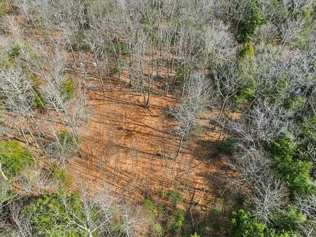 Hemlock Rd, Tyringham, Plot For Sale