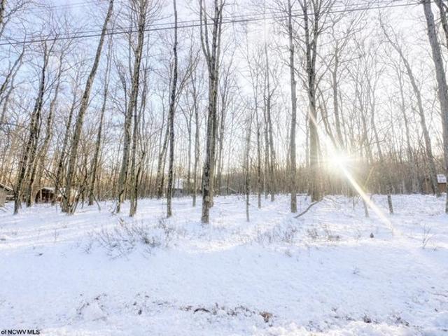 Hemlock Swiss Cir Lot 159, Terra Alta, WV 26764