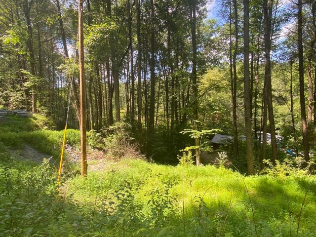 Hemlock trail