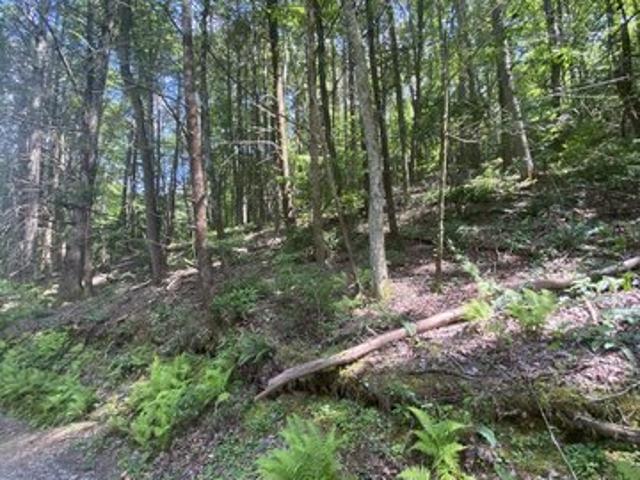 Hemlock Trl, Blue Ridge, GA 30513