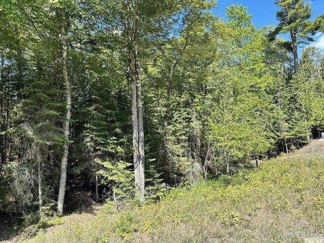 Hemlock Views Trl Lots 21 & 22, Manistique, MI 49854