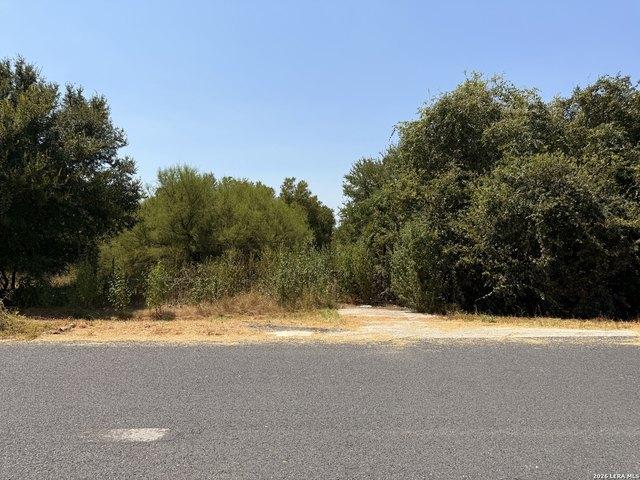 Henze Rd Lot P423, San Antonio, TX 78223