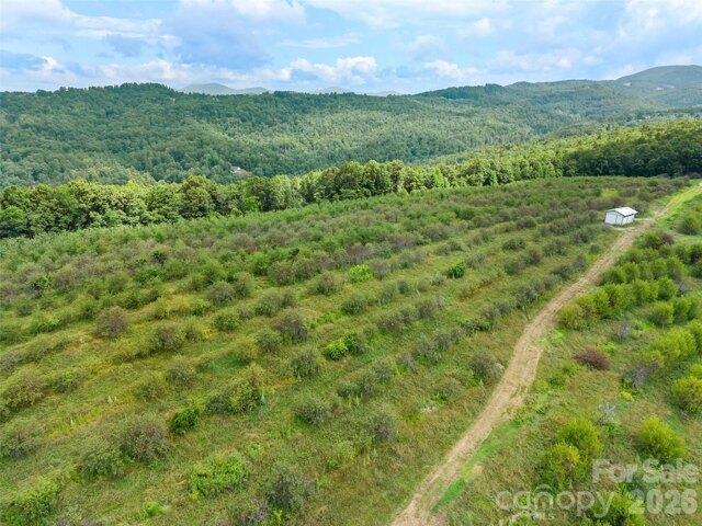 Hendersonville NC 28792 104898992