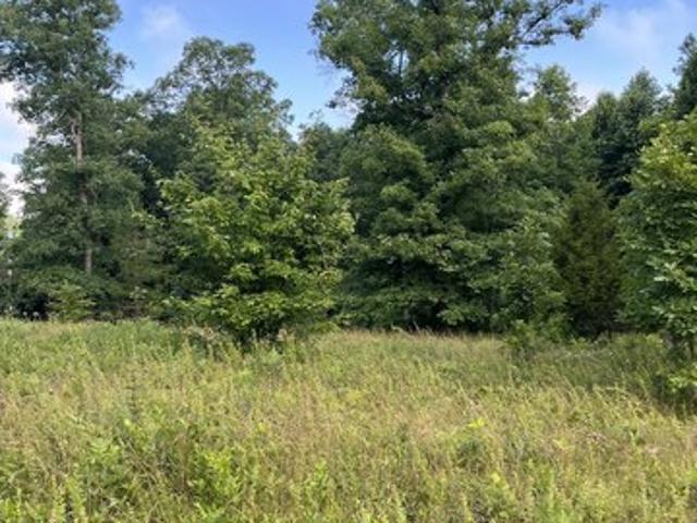 Henley Dr, Altamont, TN 37301