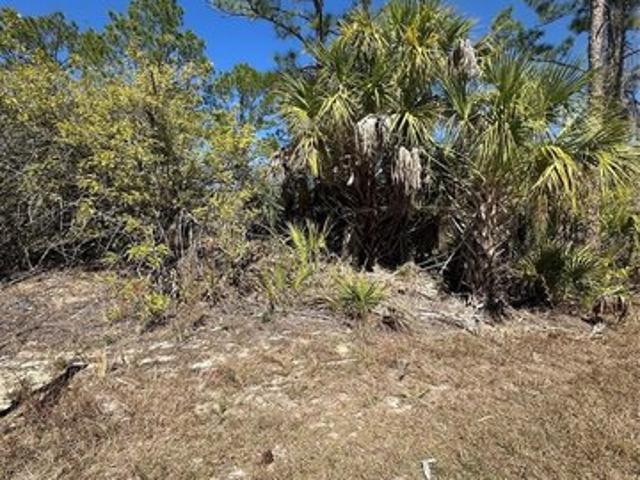 Henning St, North Port, FL 34288