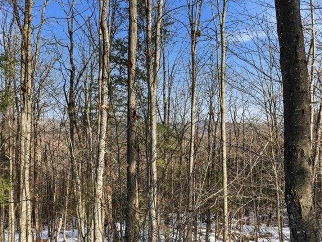Henniker NH 03242 101957348