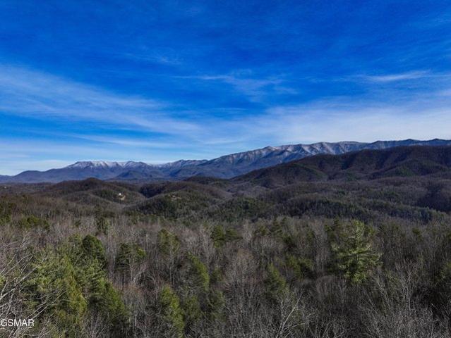 Henry Town Rd, Sevierville, TN 37876