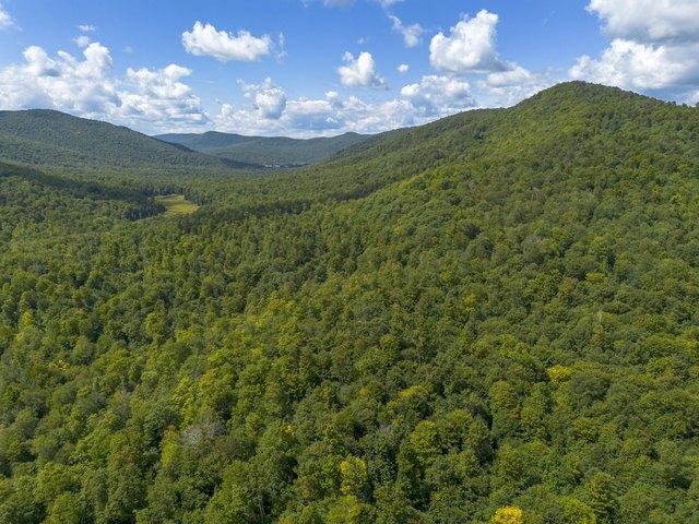 Henry Wescott Rd, Athol, NY 12810