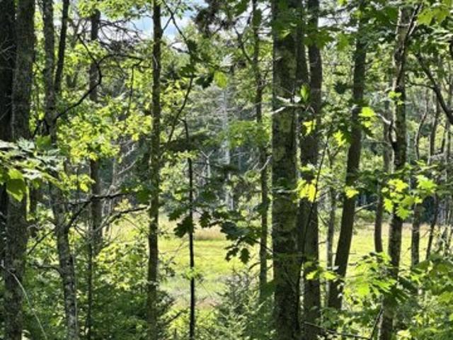 Henry Creek Way, Harpswell, Plot For Sale