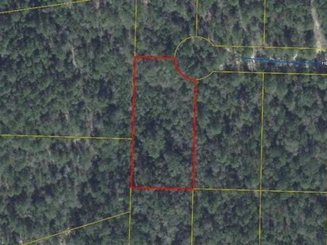 Henry Ln Lot 1, Defuniak Springs, FL 32433