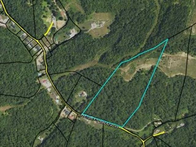 Henrys Br, Langley, KY 41649