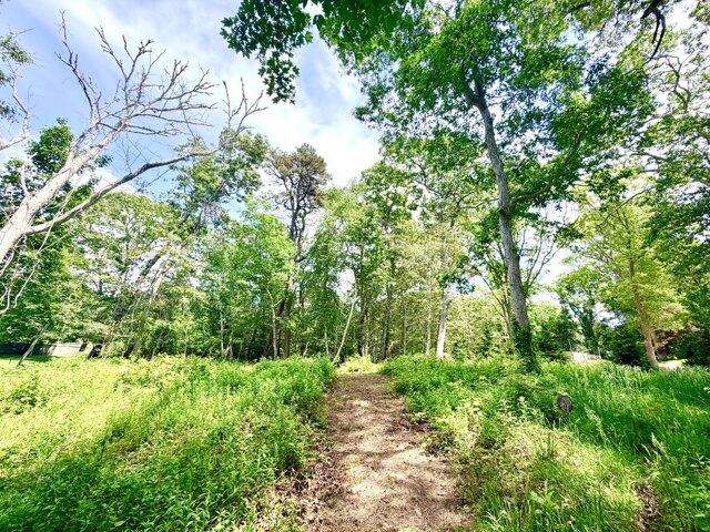 Heath Hen Ln, Vineyard Haven, Plot For Sale