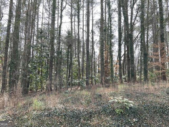 Head Ave, Tallapoosa, GA 30176