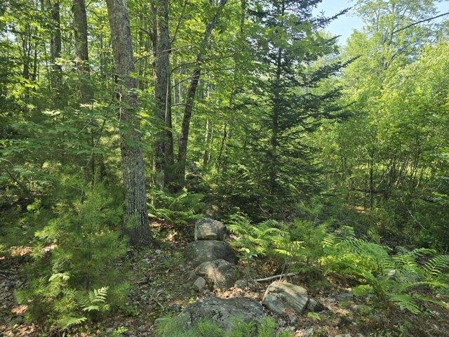 Head Tide Hill Rd, Alna, Plot For Sale