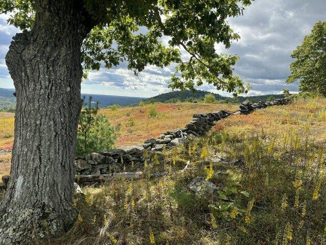 Heart Oak Ln, Union, Plot For Sale