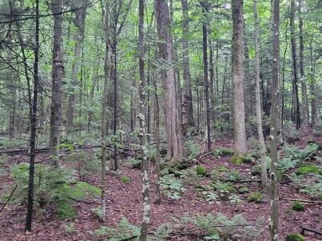 Heartwellville View Rd Lot,readsboro, Plot For Sale
