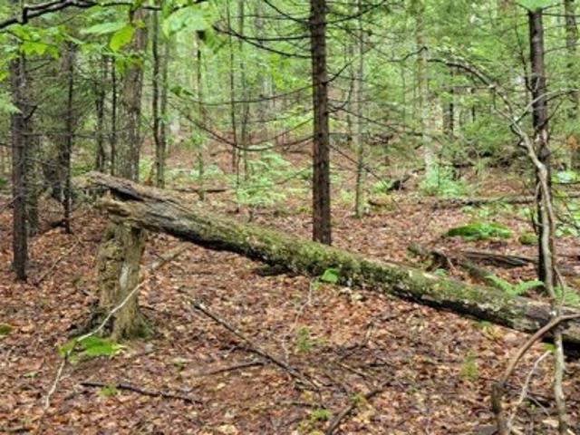 Heartwellville View Rd Lot /, Readsboro, Plot For Sale