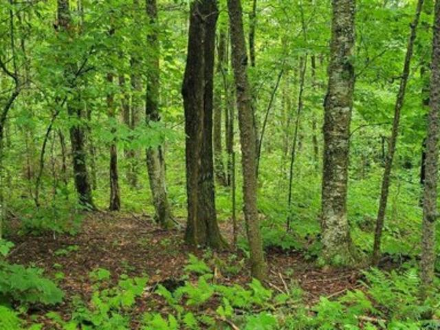 Heartwellville View Rd Lot,readsboro, Plot For Sale