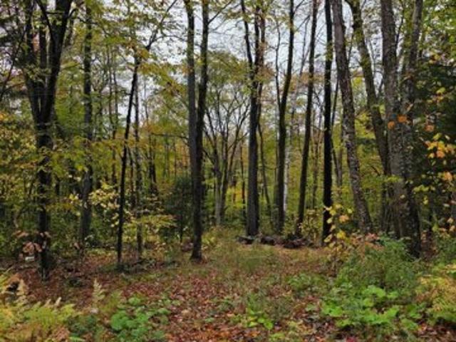 Heartwellville View / Rd Lot /, Readsboro, Plot For Sale