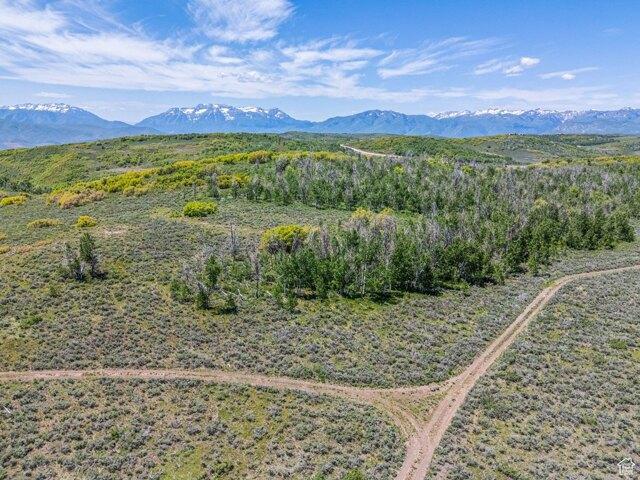 Heber City UT 84032 LS96732507