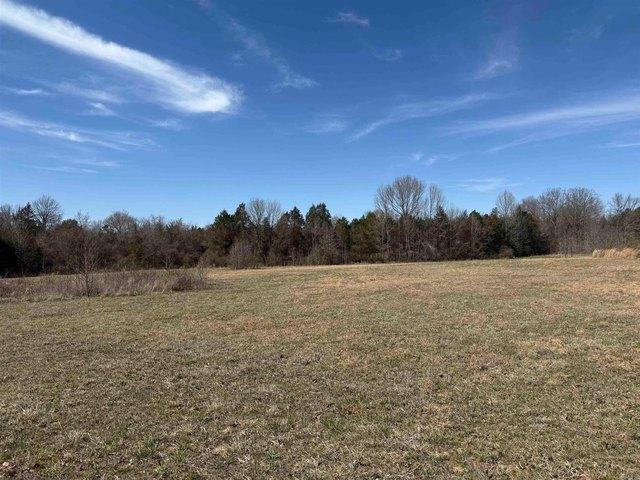 Heffington Cemetery Rd, Mount Vernon, AR 72111
