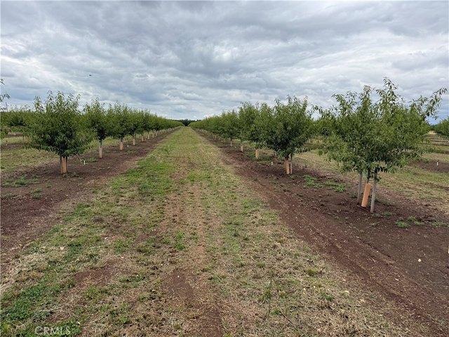 Hegan Ln, Chico, CA 95928