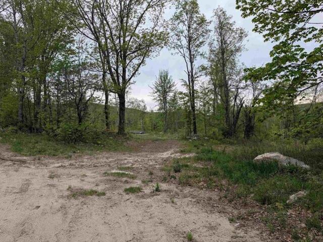 Height Of Land Rd, Grafton, Plot For Sale