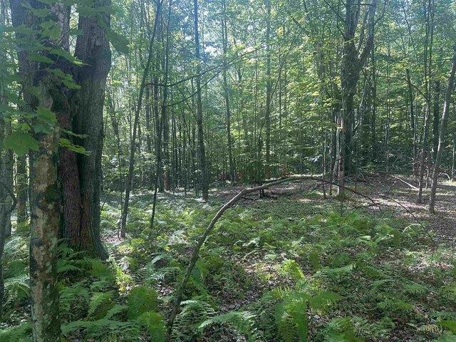 Helvi Hl, Mendon, VT 05701