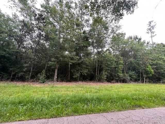 Helen St Lots 18 & 1, Lacombe, LA 70445