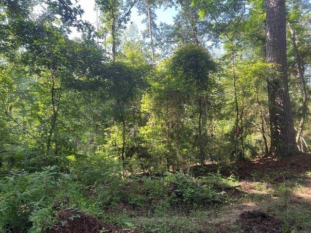 Hepzibah Rd Lot 5, Clinton, LA 70722