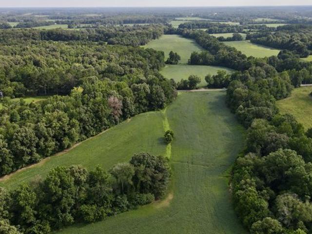 Herbert Neal Rd, Milan, TN 38358