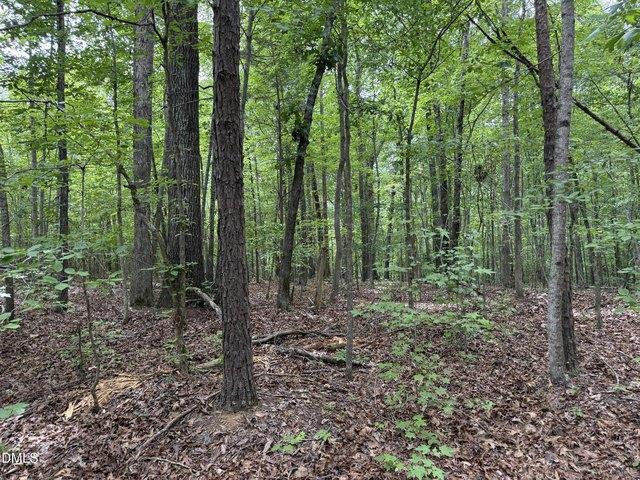 Herbert Faucette Rd, Bullock, NC 27507