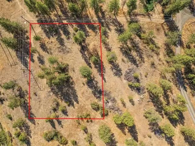 Here is an amazing opportunity to get the perfect lot to build y