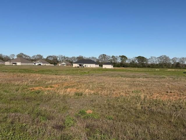 Heritage Way, Headland, AL 36345