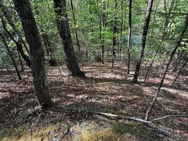 Heritage Way Lot 50, Otto, NC 28763