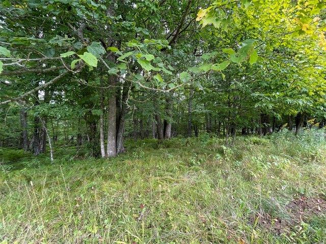 Hermosa Ln Lot 9, Hayward, WI 54843