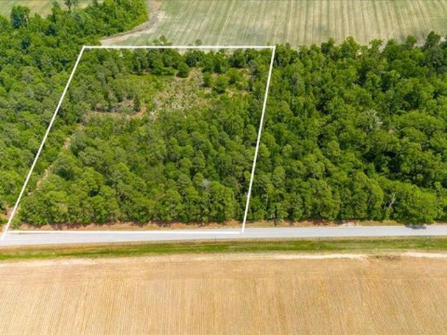 Herndon Rd, Waynesboro, GA 30830