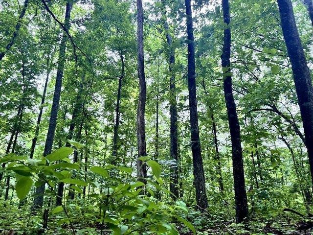 Herpel Rd, Mountain View, AR 72560