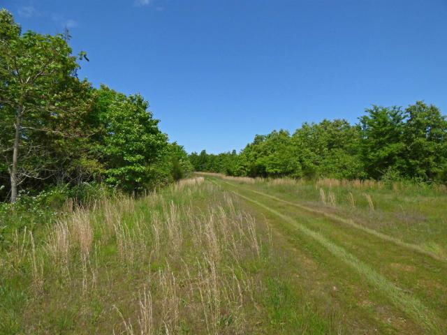 Herron Road