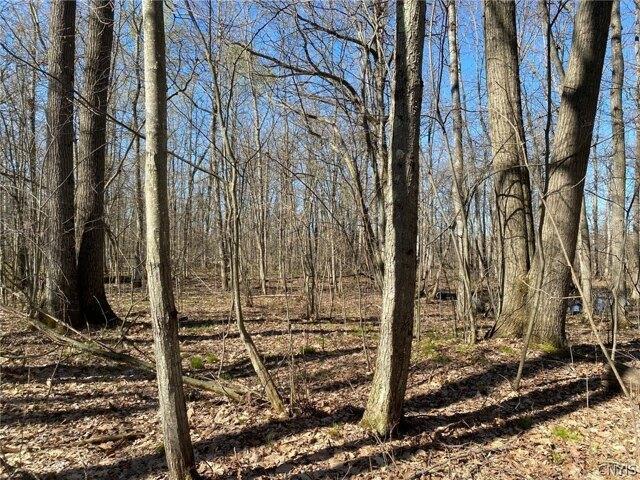 Heuvelton NY 13654 103623987
