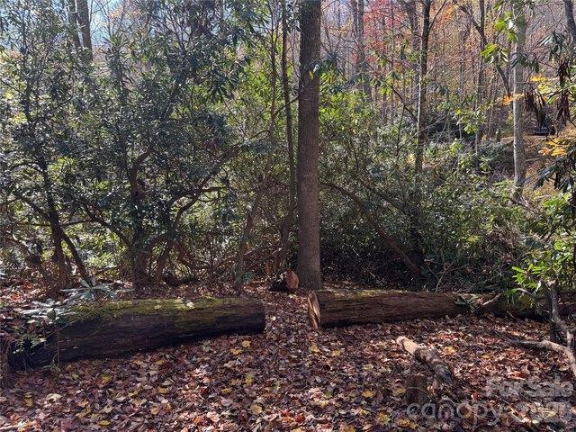Hews Cir Unit 8, Blowing Rock, NC 28605