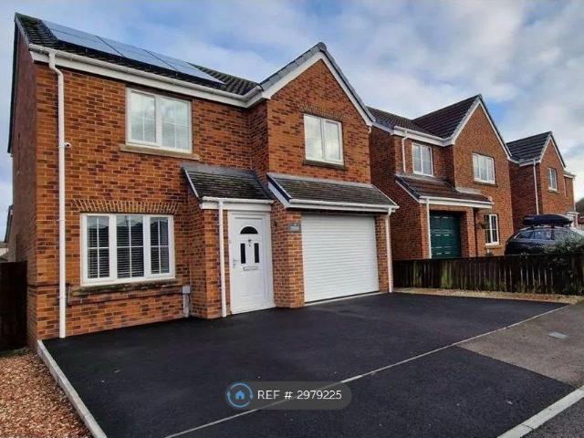 Hexham Gardens, Consett DH8, 3 bed detached house to rent, £1,250 pcm | PrimeLocation